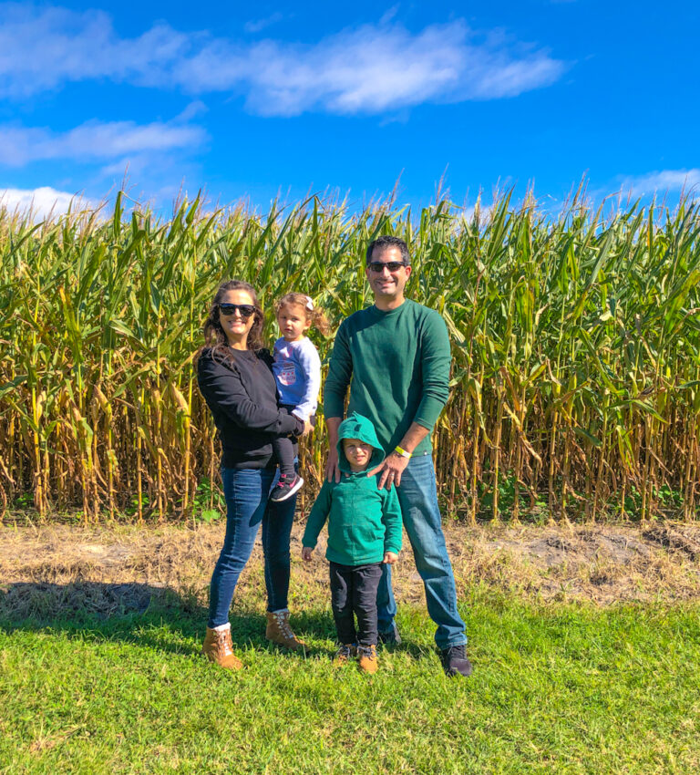 The Ultimate Maze Of Corn At Long And Scott Farms
