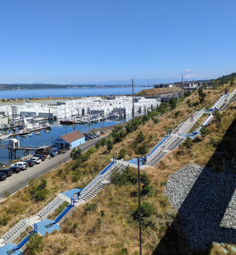 15+ Things To Do In Point Defiance Park (Free Ones Too!)