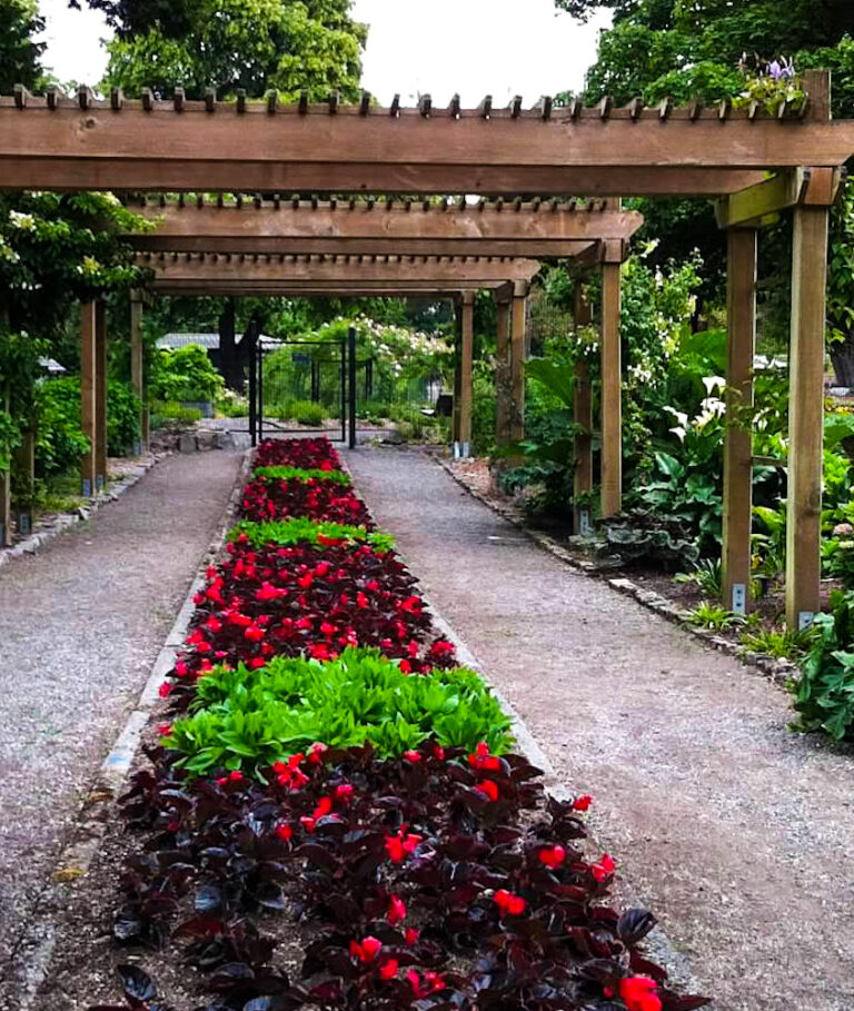 15+ Things To Do In Point Defiance Park (Free Ones Too!)